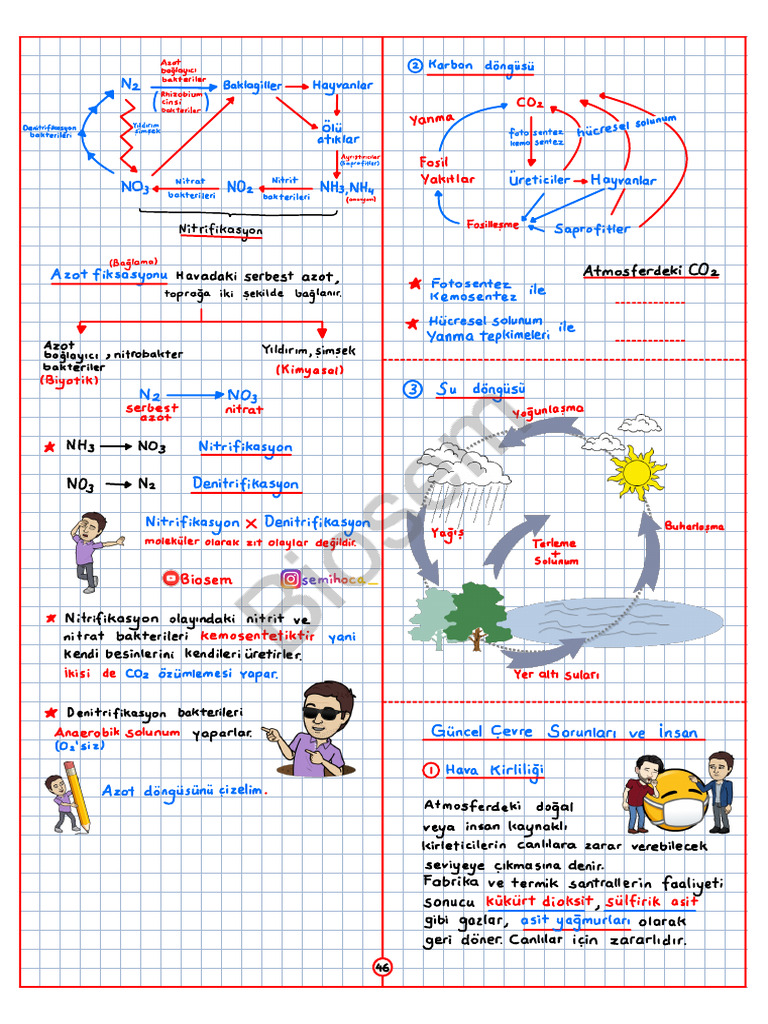 Ekoloji Güncel Çevre Sorunlari Biosem | PDF
