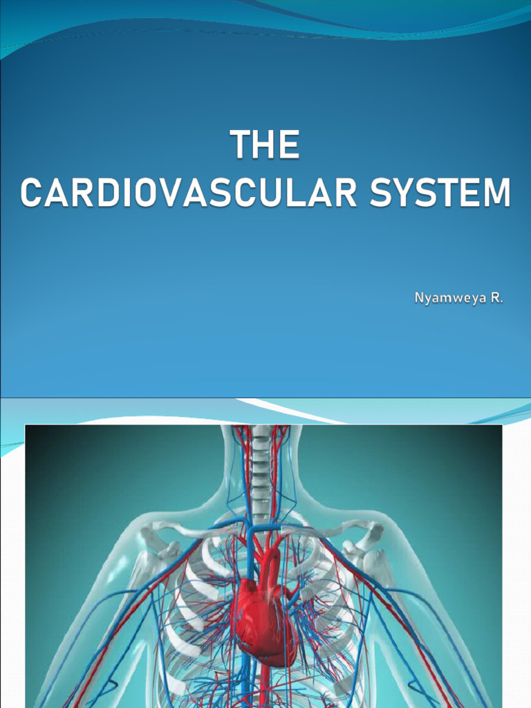 Cardivascular System Nyamweya | PDF | Ventricle (Heart) | Atrium (Heart)