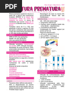 TRABALHO DE PARTO PREMATURO Revisão 2020 PROTOCOLO SOFIA FELDMAN | PDF | Parto | Gravidez