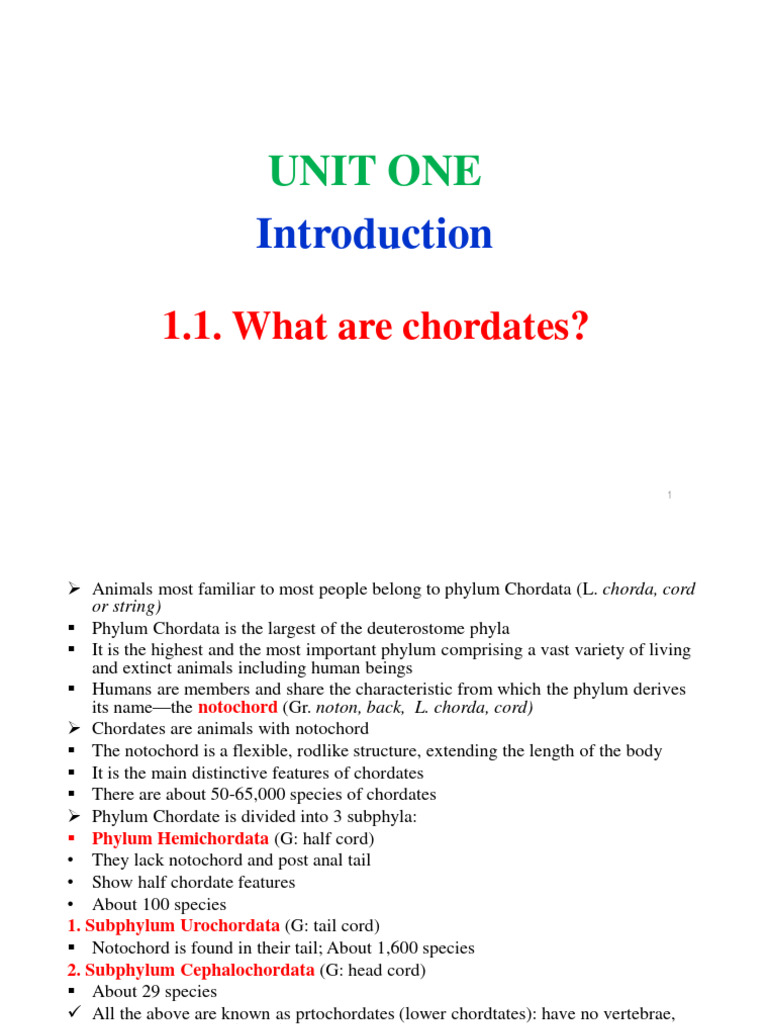 Vertebrate Zoology HI-1 | PDF | Muscle | Skeleton