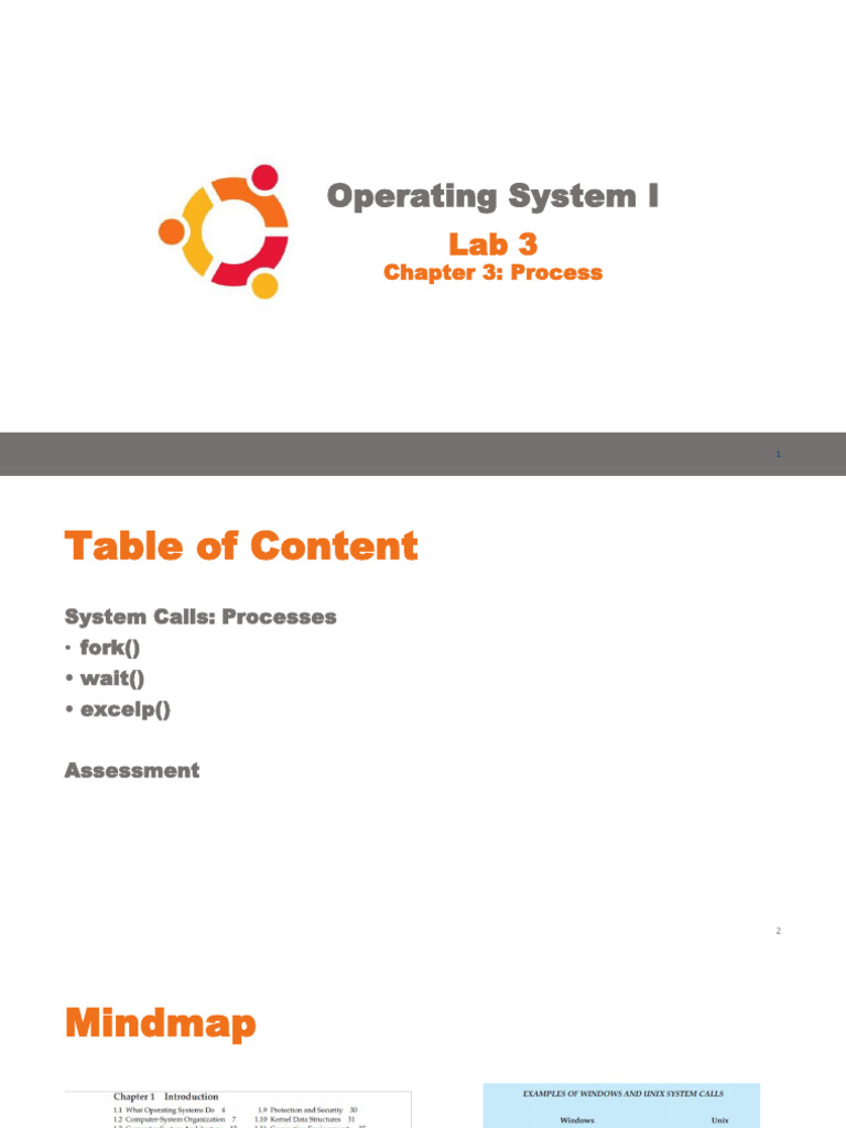 Lab 3 | PDF | Concurrent Computing | Process (Computing)