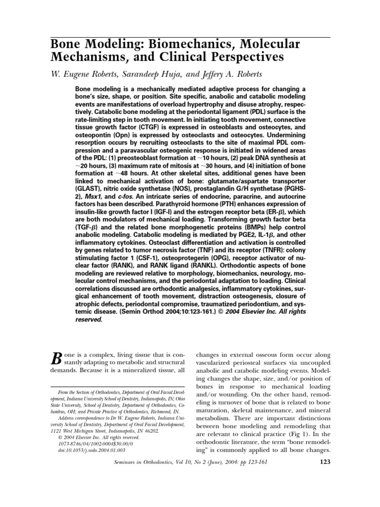 Bone Modeling Biomechanics Molecular Mec | PDF | Bone | Osteoblast