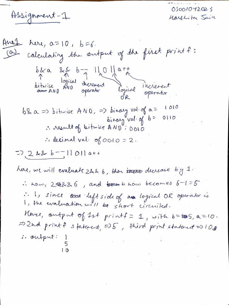 Prog C Assignment 1 | PDF