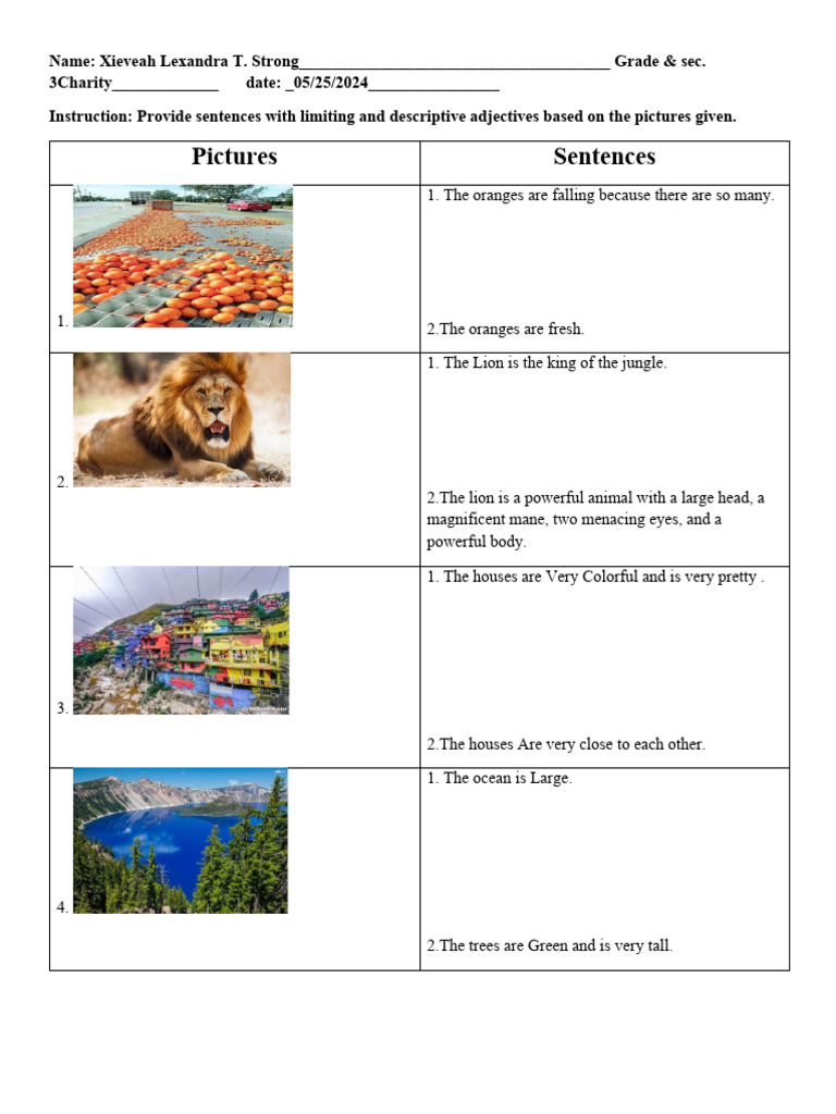 Limiting and Descriptive Adjective | PDF