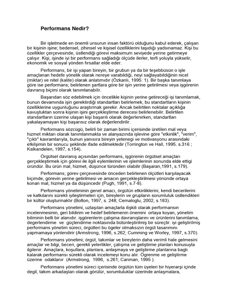 Performans Nedir | PDF