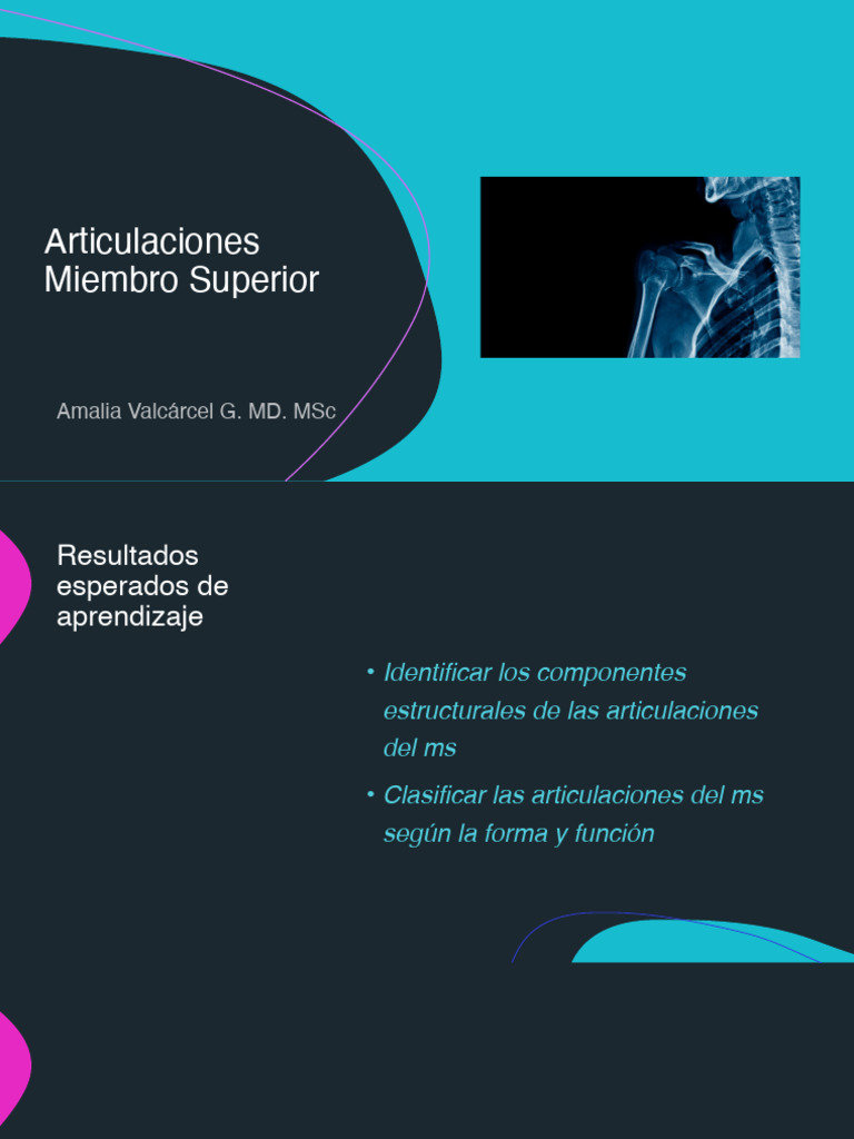 Articulaciones MS 2024 | PDF | Articulación | Mano