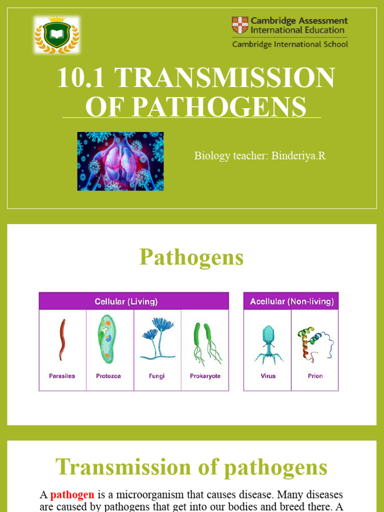 Diseases and Immunity | PDF | Pathogen | Immune System