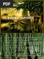 El Bambú Japonés Reflexión | PDF