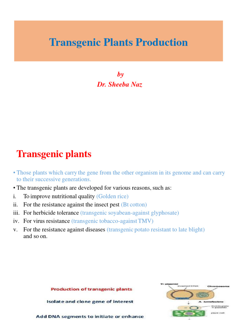 10 Transgenic Plant Production 2024F | PDF | Genetically Modified ...