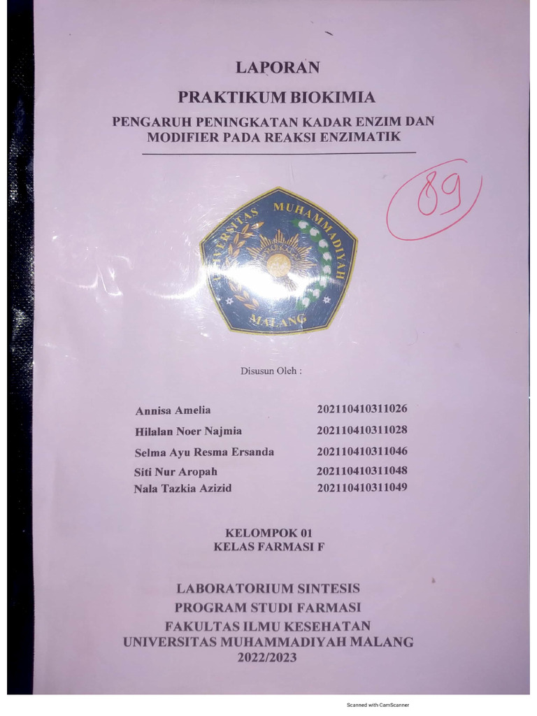Pengaruh Peningkatan Kadar Enzim Dan Modifier Pada Reaksi Enzimatik | PDF