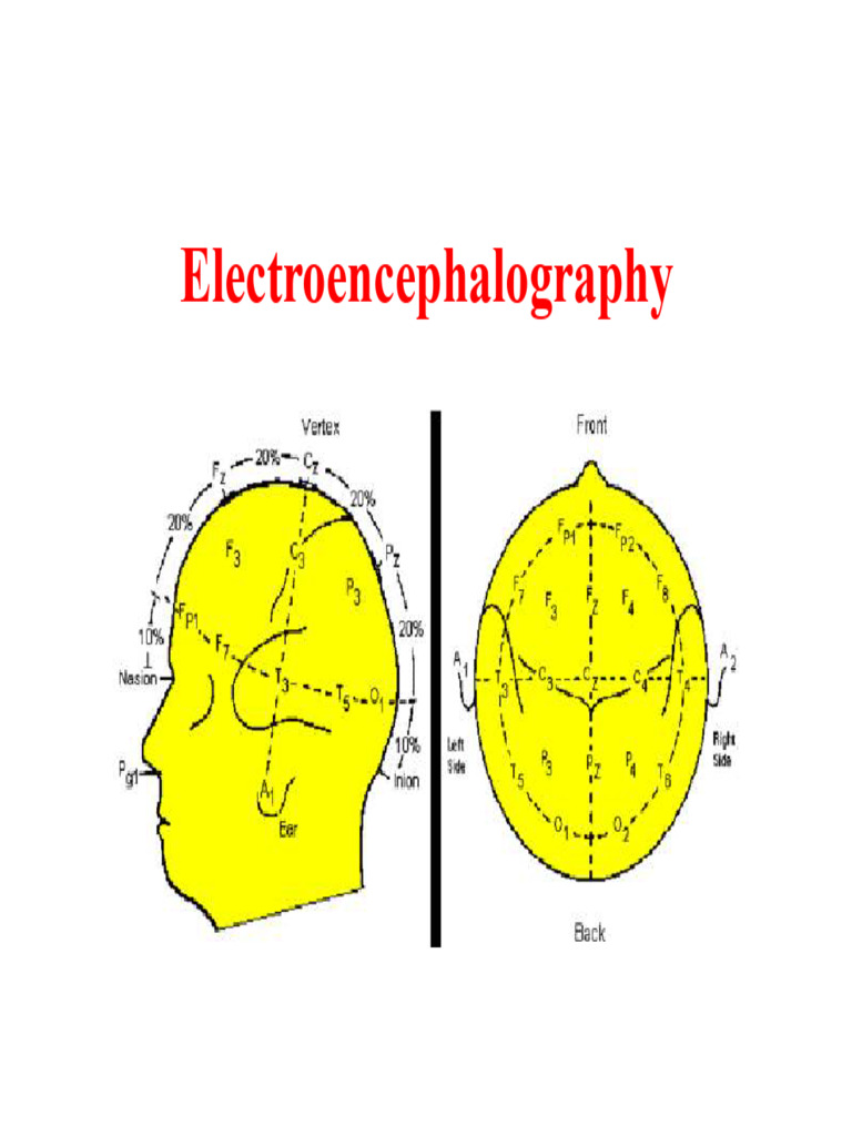 EEG Lecture Notes | PDF | Science & Mathematics