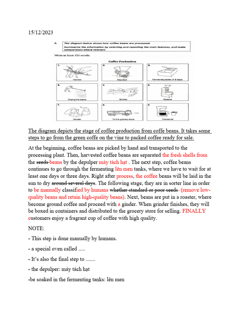 WRITING TASK 1 PROCESS OF COFFE BEANS | PDF | Coffee | Bean