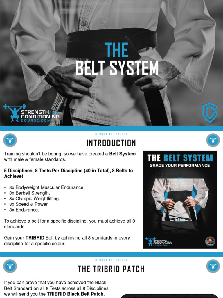 The Belt System | PDF | Athletic Sports | Weight Training