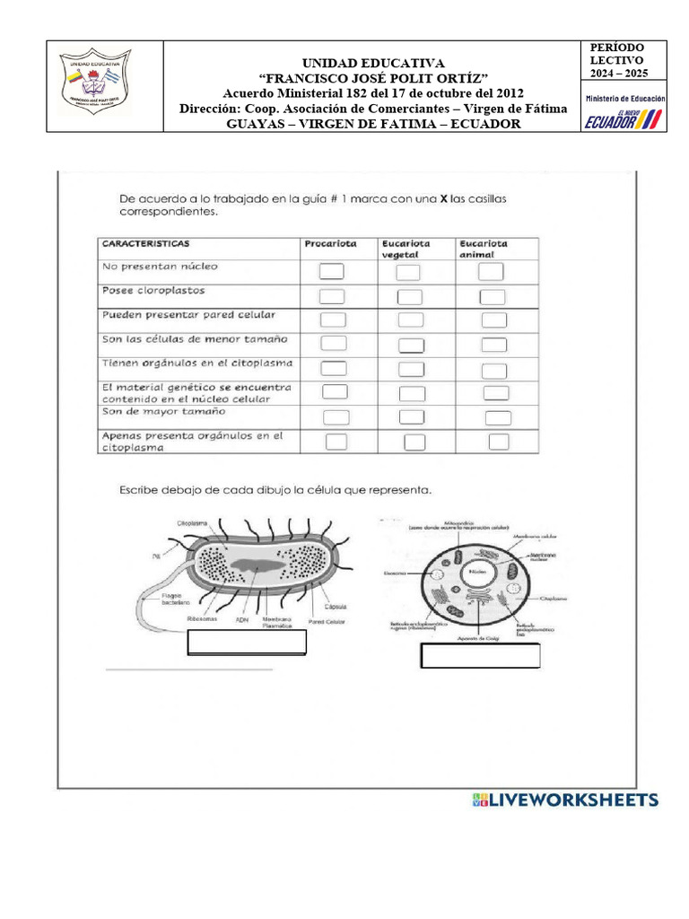 Actividad de CCNN 10MO | PDF