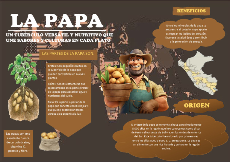 Infografia de La Papa | PDF | Patata | Vitamina C