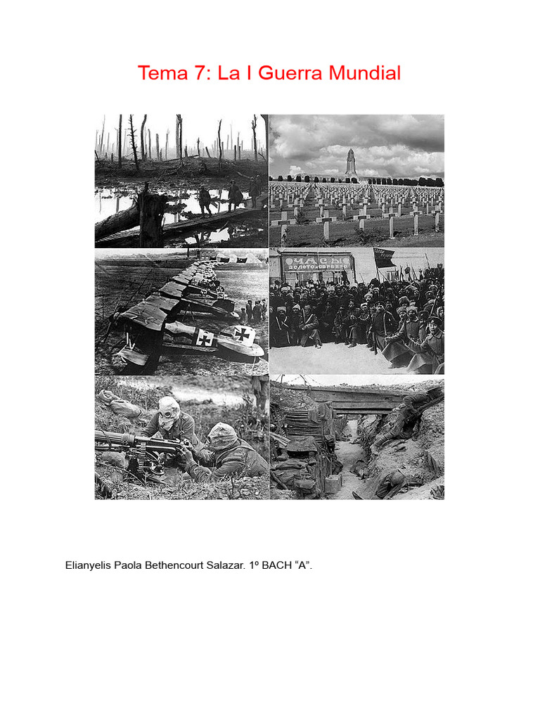 Causas y Desarrollo de la IGM | PDF | Primera Guerra Mundial | Austria Hungría