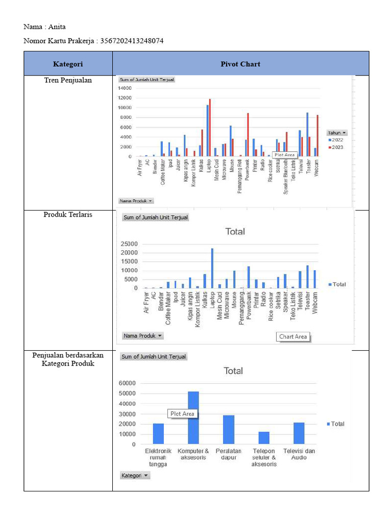 TPM 2 Membuat Visualisasi Data Dengan Pivot Chart - Anita | PDF