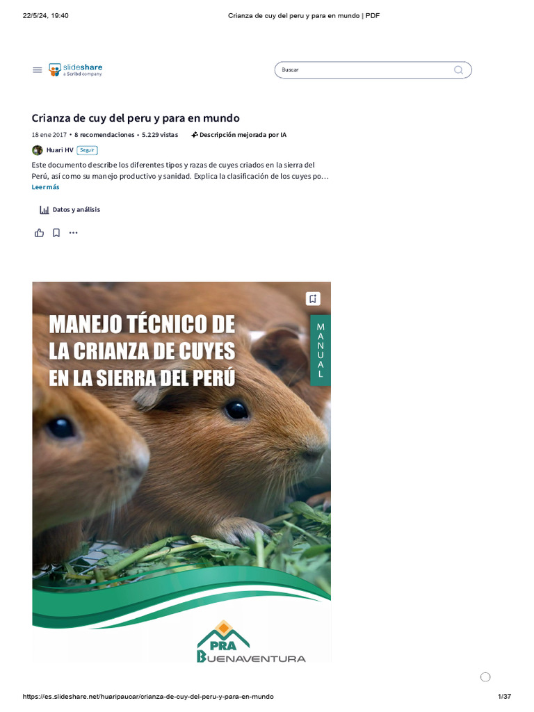 Crianza de Cuy Del Peru y para en Mundo - PDF | PDF | Conejillo de ...