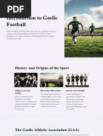 Gaelic Football Pitch Dimensions and Layout | PDF | Referee ...