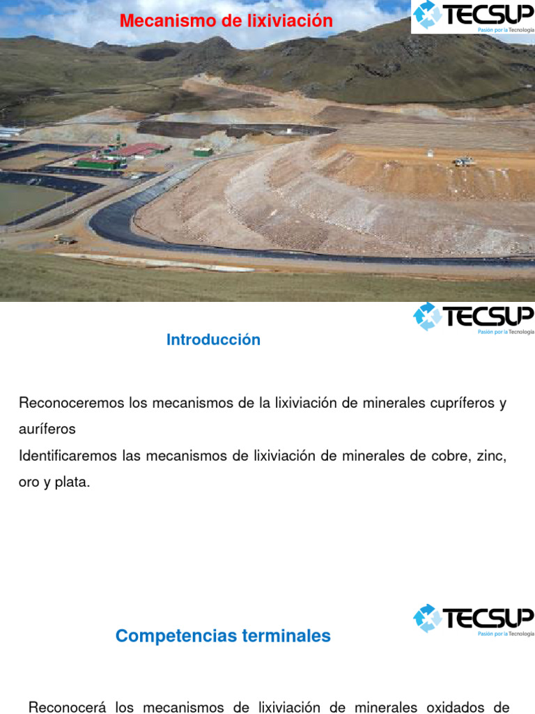 Sesi%C3%B3n+2+Mecanismos+de+lixiviaci%C3%B3n | Descargar gratis PDF ...