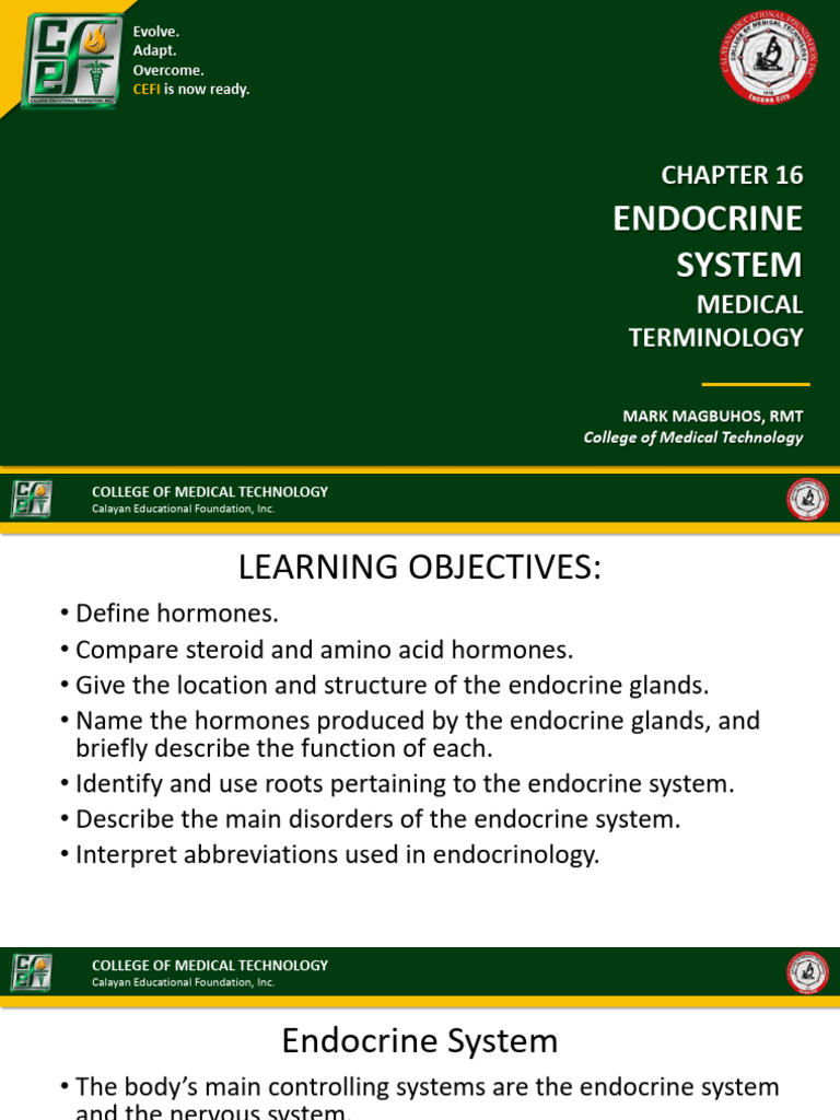 Endocrine System Overview and Disorders | PDF | Endocrine System | Thyroid