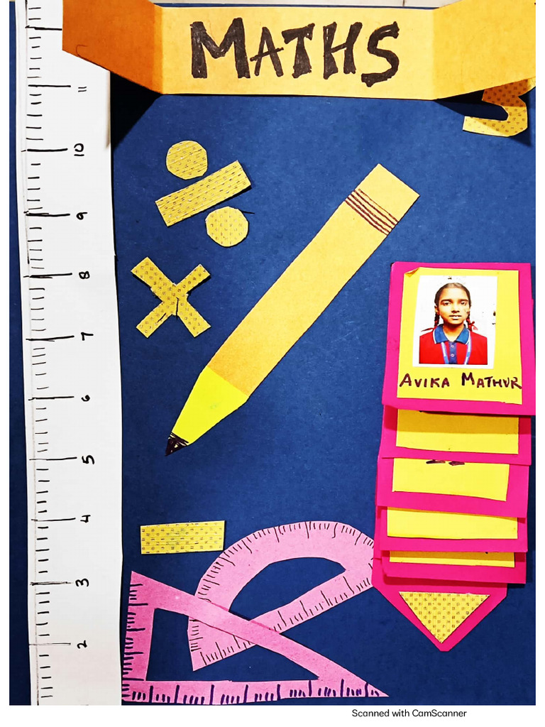 Students Portfolio of Maths | PDF