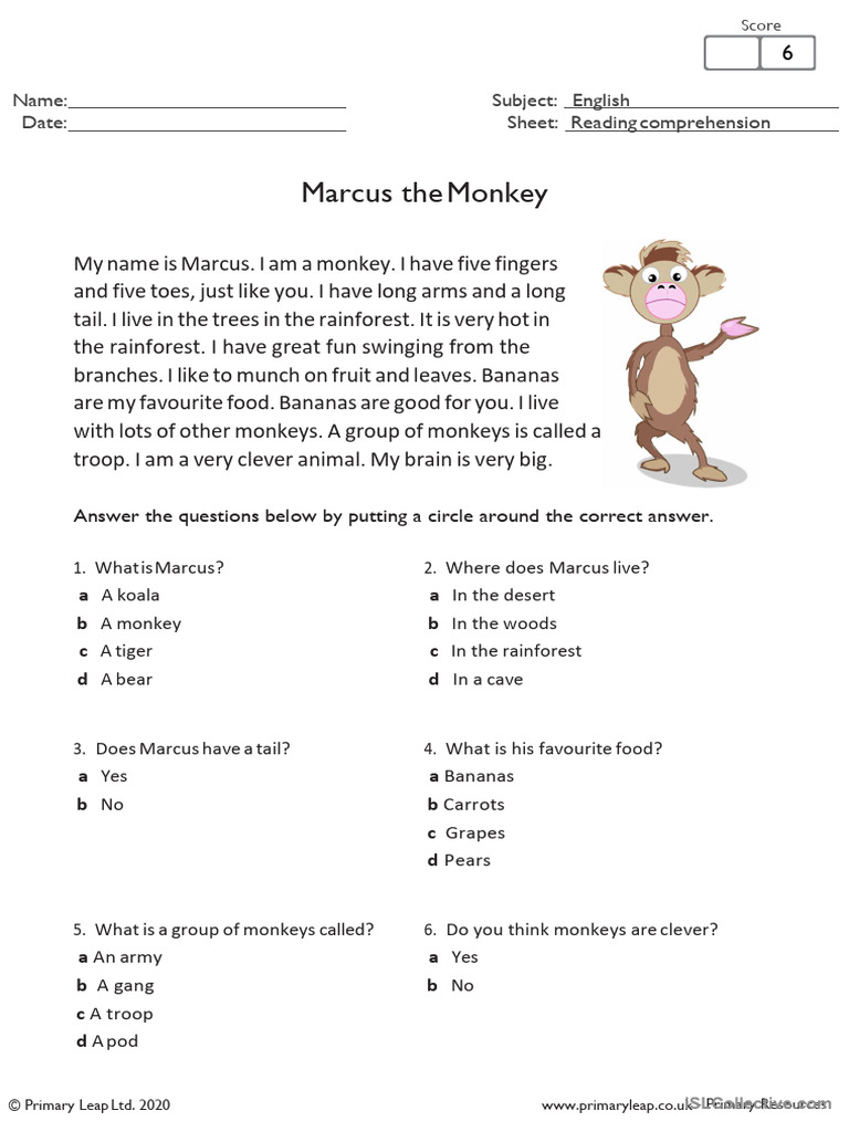 Marcus the Monkey: Reading Comprehension | PDF