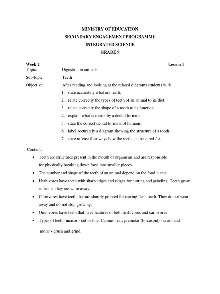 Teeth | PDF | Tooth | Dental Anatomy