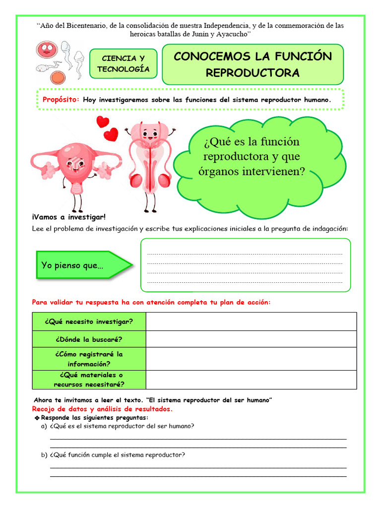 Ficha-Mart-Cyt-Conocemos La Función Reproductora | PDF | Sistema ...