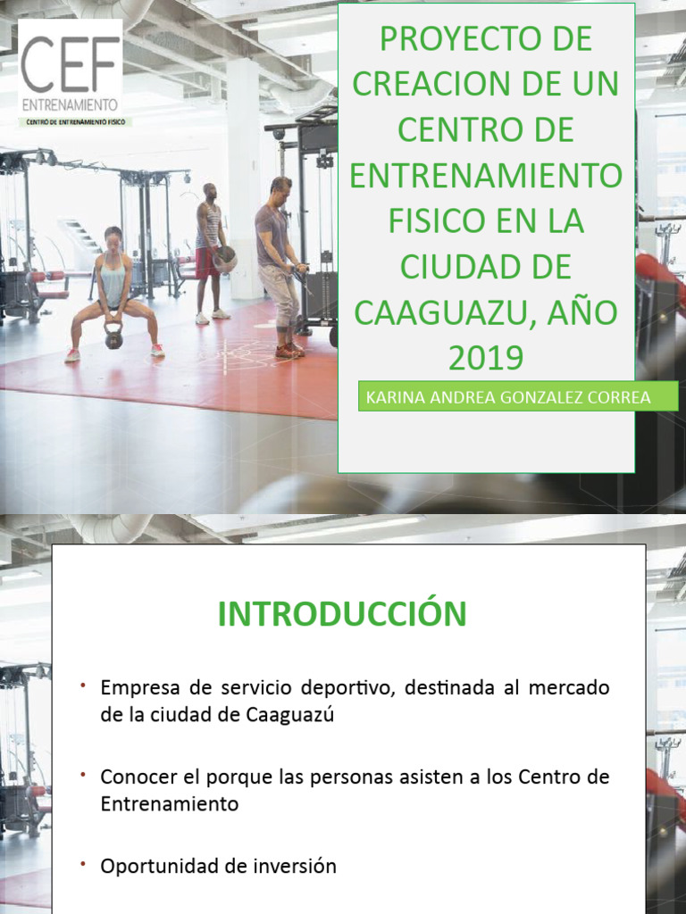 Presentacion CEF | PDF | Hoja de balance | Contabilidad financiera