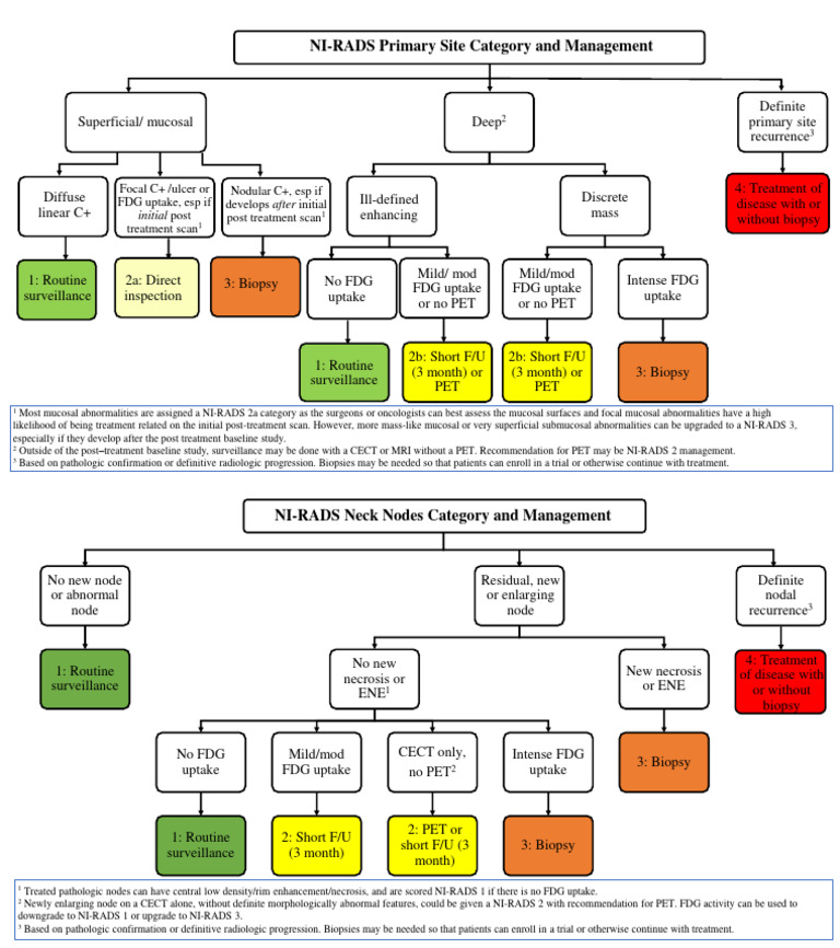 NIRADS Primary Site and Neck Nodes Categories and Management | PDF ...
