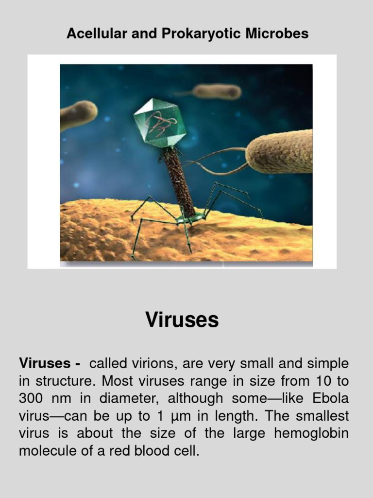 viruses | PDF | Virus | Retrovirus