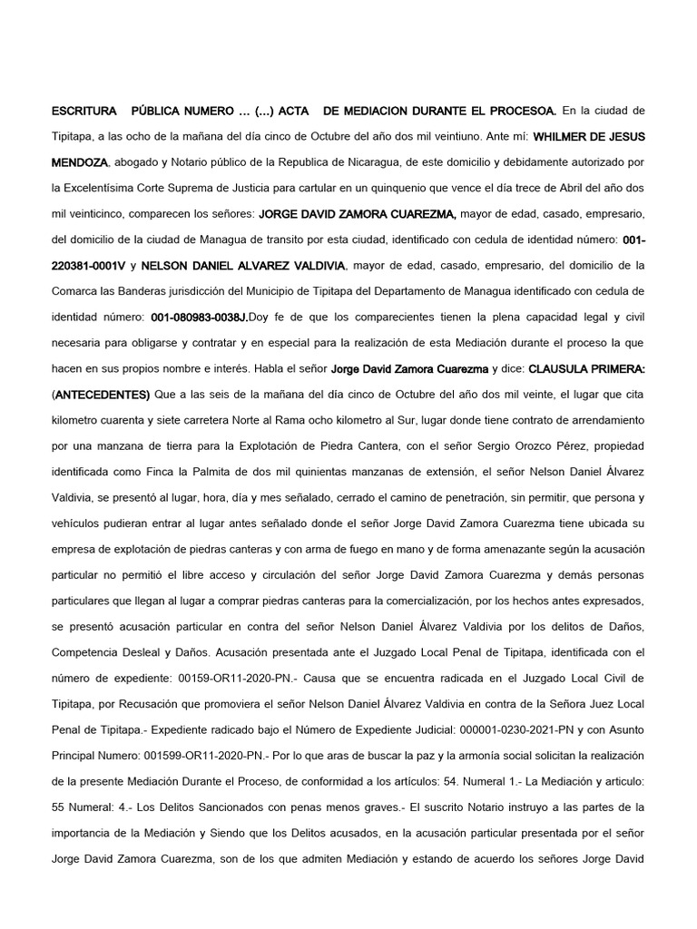 Acta de Mediacion Durante El Proceso Nelson, Jorge 15-11-2021 ...