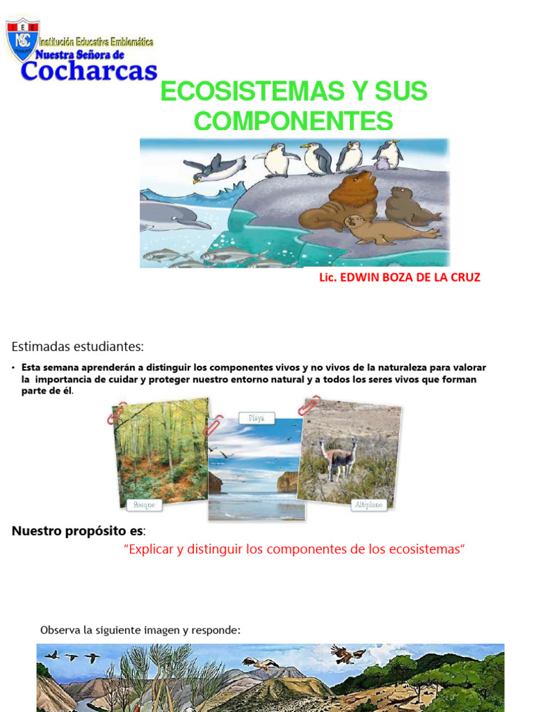 Componentes de los Ecosistemas | PDF | Ecosistema | Entorno natural