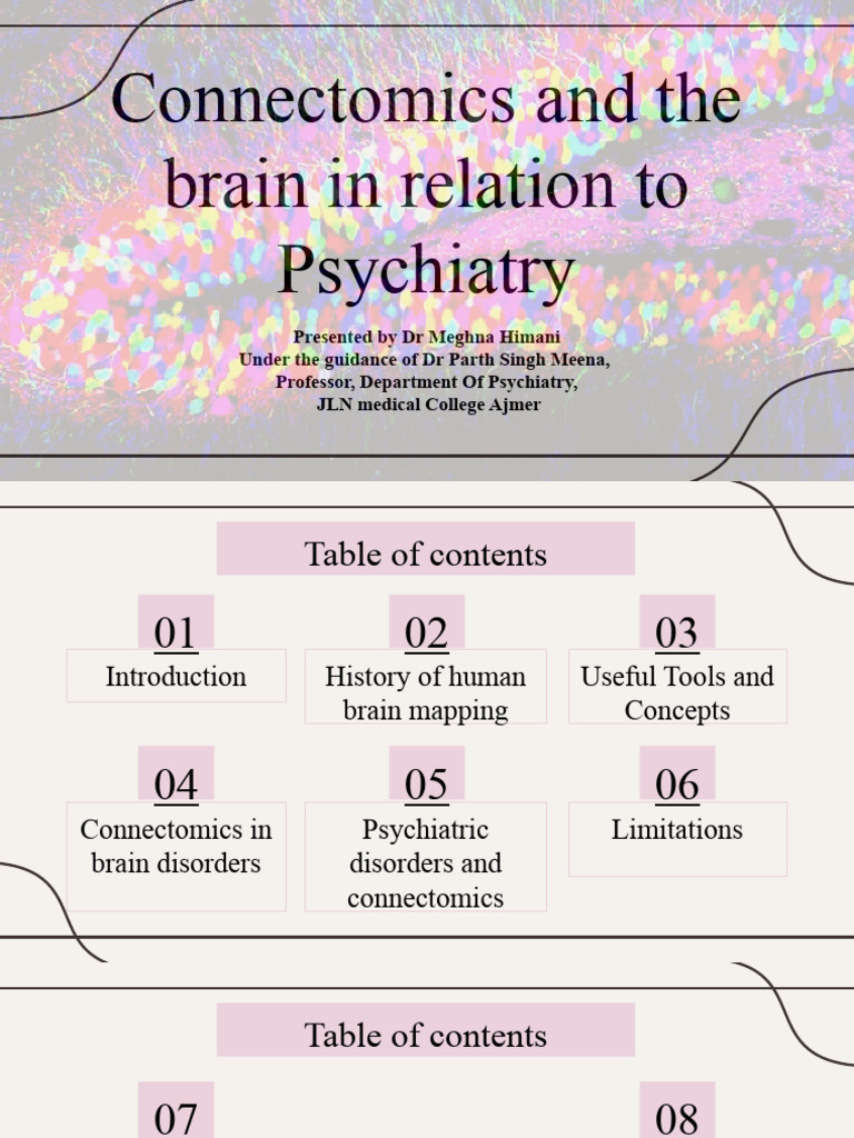 Connectomics Pdf Functional Magnetic Resonance Imaging Brain