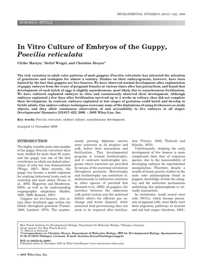 Developmental Dynamics - 2005 - Martyn - in Vitro Culture of Embryos of The Guppy Poecilia ...