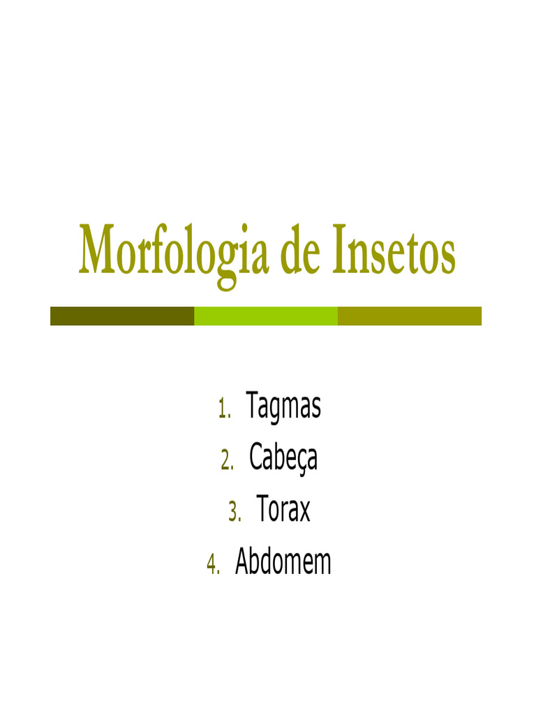 Morfologia de Insetos 3 (Modo de Compatibilidade) | PDF | Insetos ...
