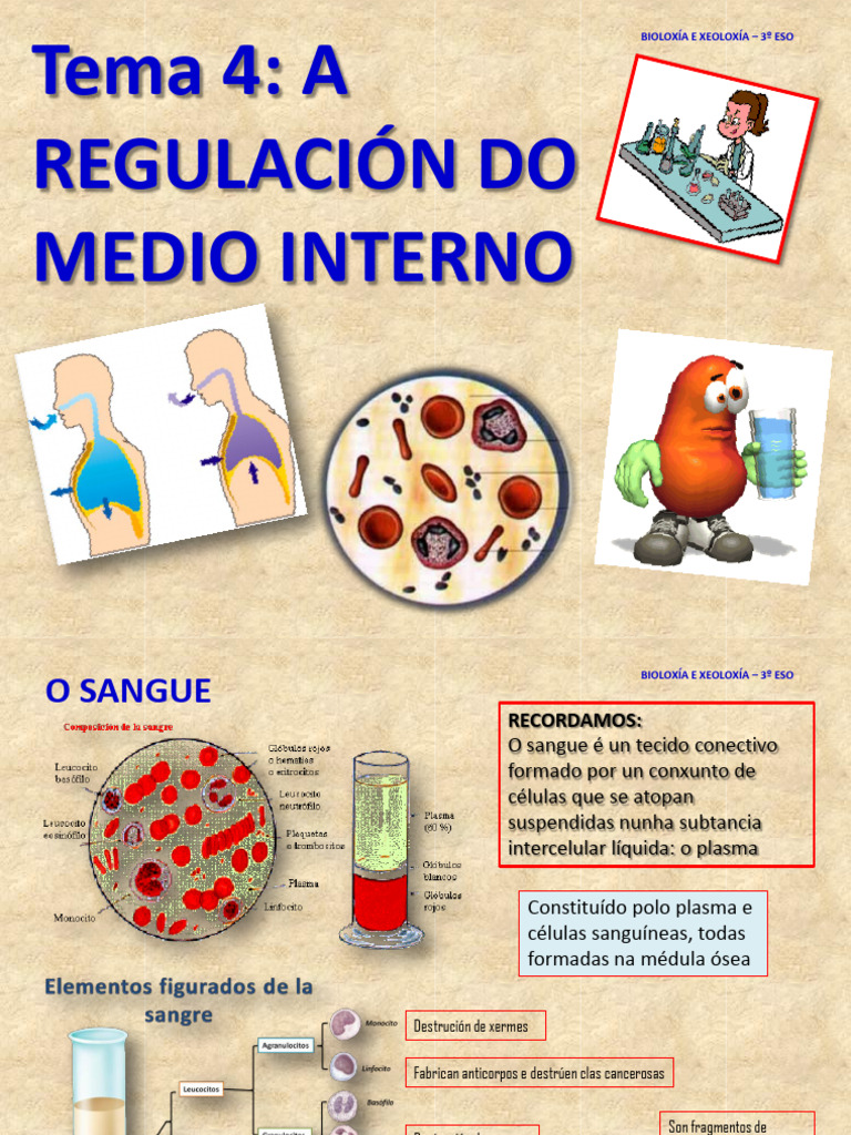 TEMA 4 - A REGULACIÓN DO MEDIO INTERNO | PDF