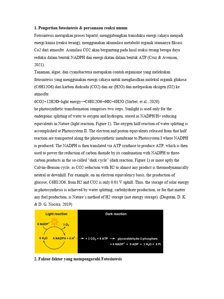 Fisiologi Tumbuhan Acara 8 | PDF