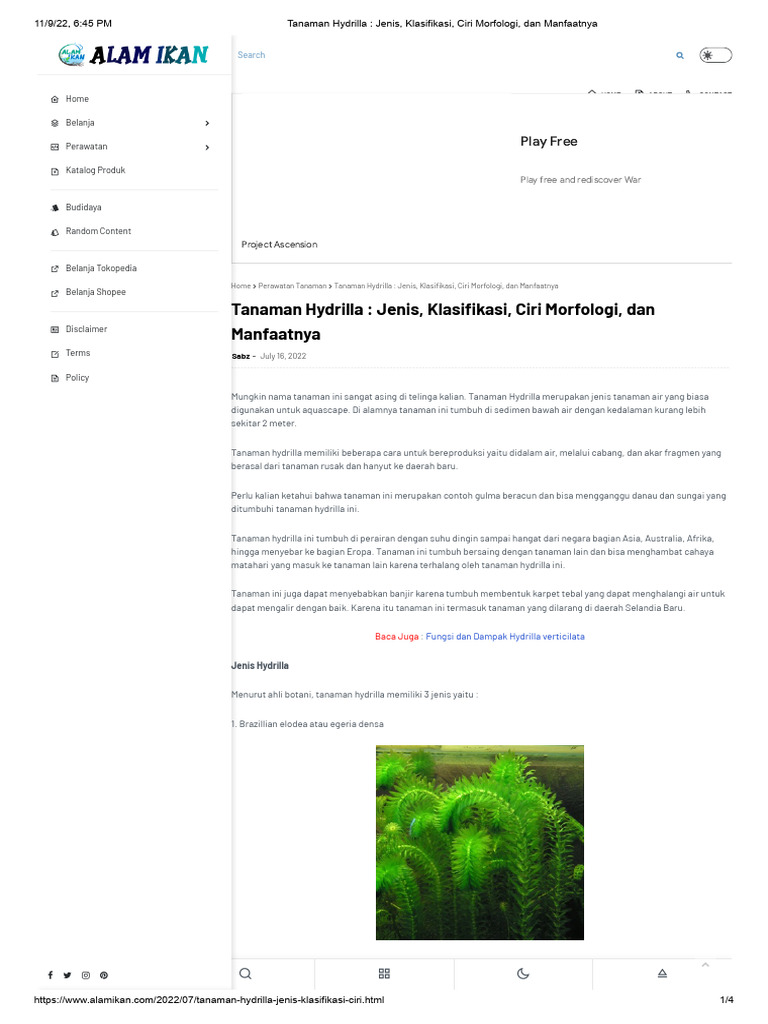 Tanaman Hydrilla - Jenis, Klasifikasi, Ciri Morfologi, Dan Manfaatnya | PDF