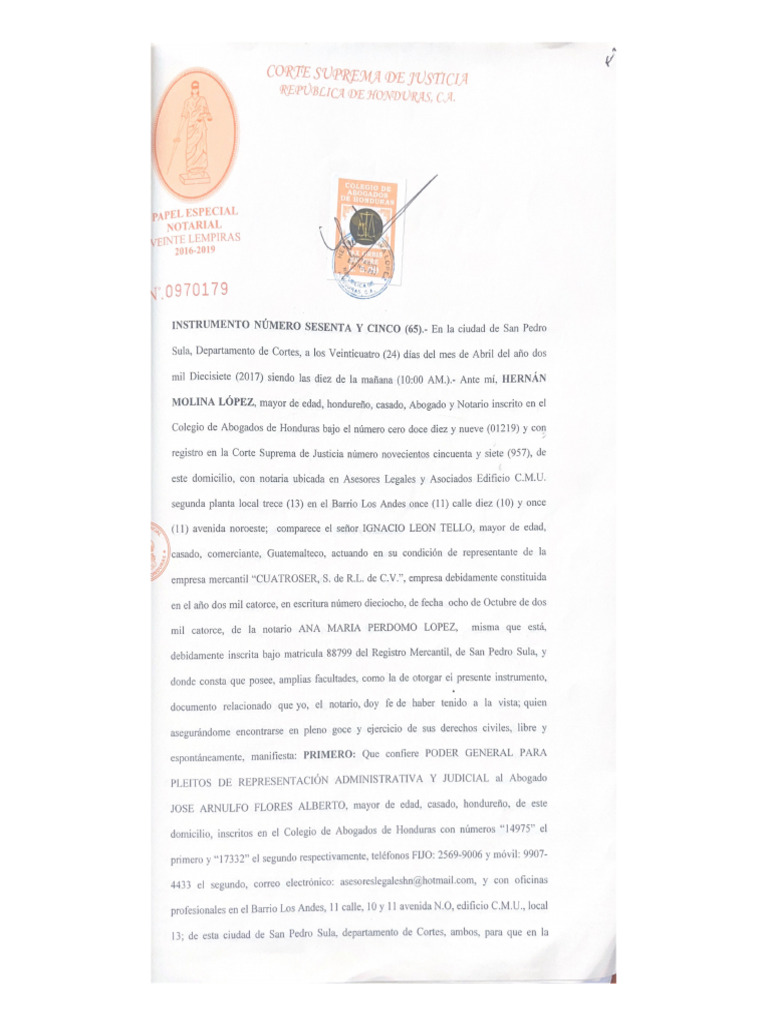 Poder General para Pleitos | PDF