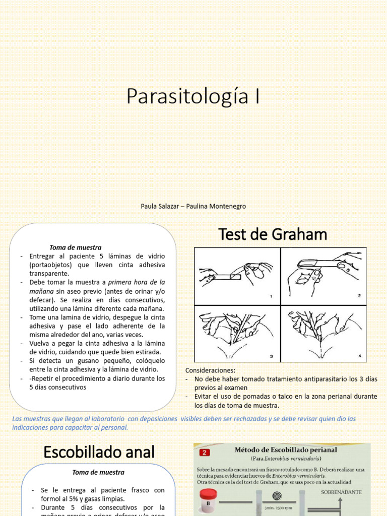 Test de Graham MP1 | PDF | Parasitología