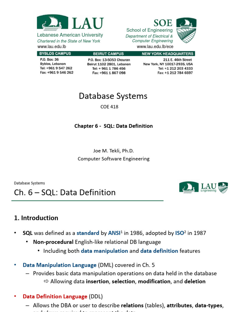 Chapter_4_LAU | Download Free PDF | Relational Database | Data Management Software