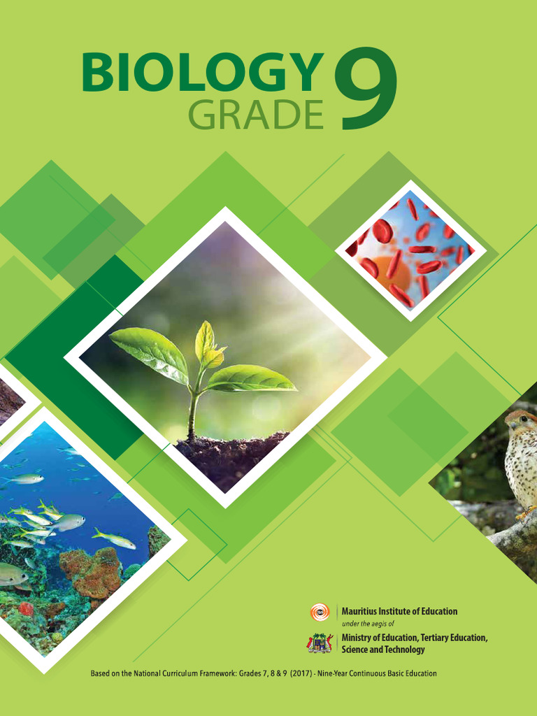Biology Grade 9 - Review 2023 | PDF | Artery | Vein