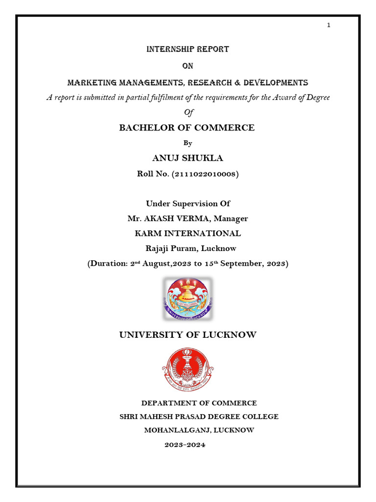 Internship Report 2 | PDF | Marketing | Digital Marketing