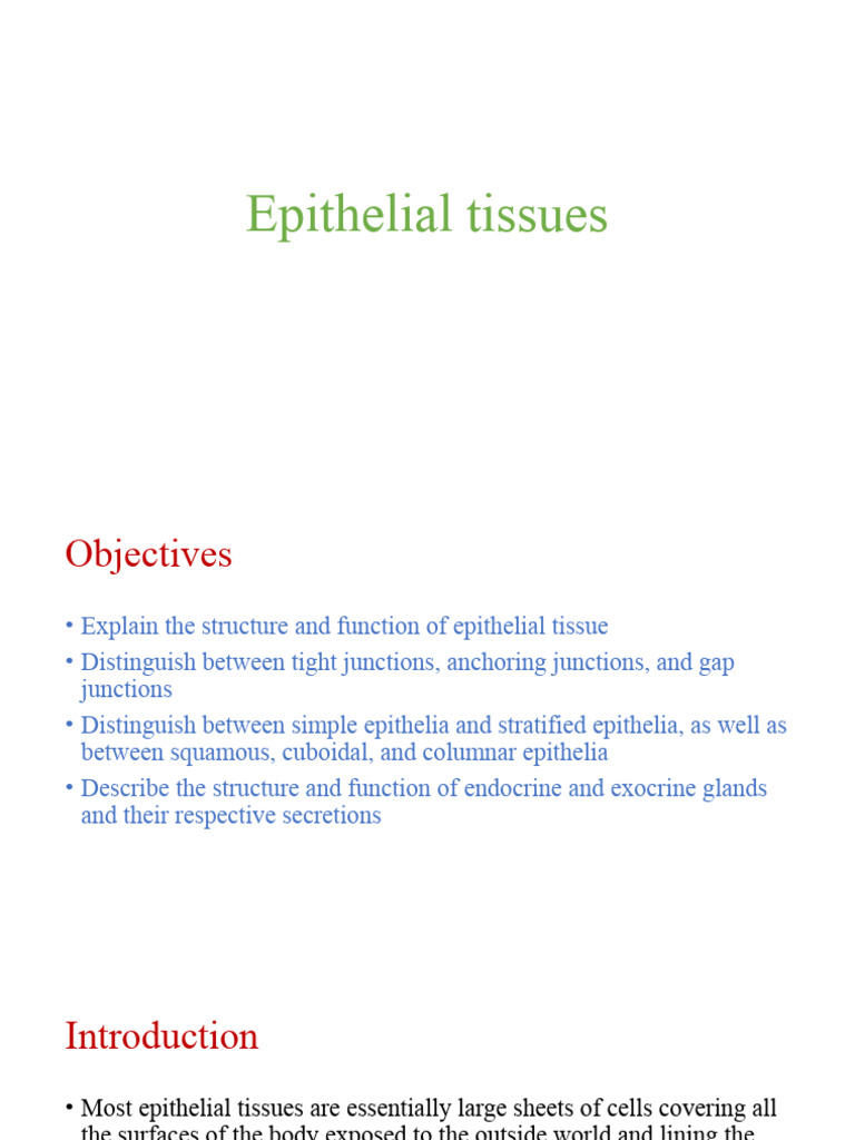 Epithelial Tissue Notes | PDF | Epithelium | Cell Biology