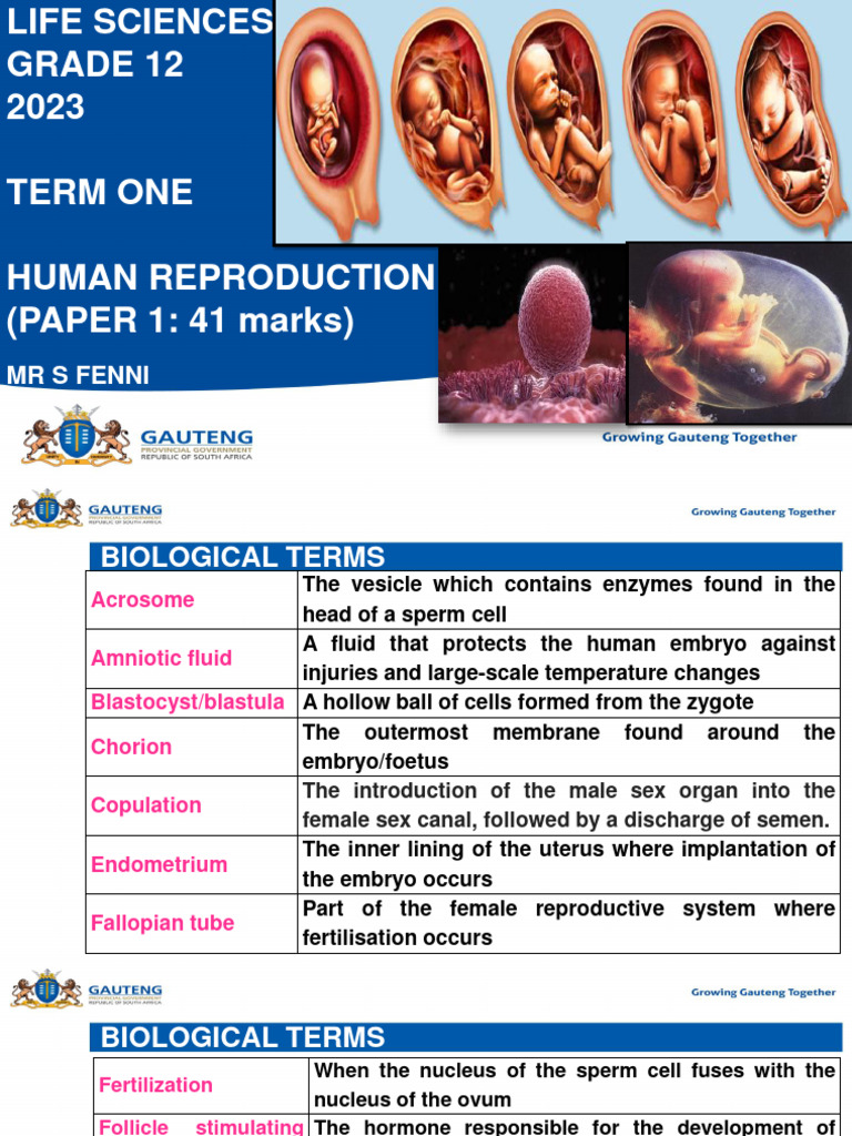 PP5.Human Reproduction (Updated) | Download Free PDF | Menstrual Cycle | Ovary