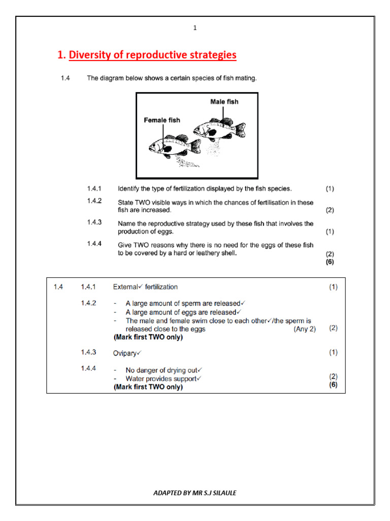 Reproductive Strategies and Reproduction Q&A-1 | PDF | Biological ...