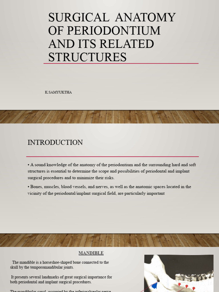 Surgical Anatomy of Periodontium and Its Related Structures Modified ...