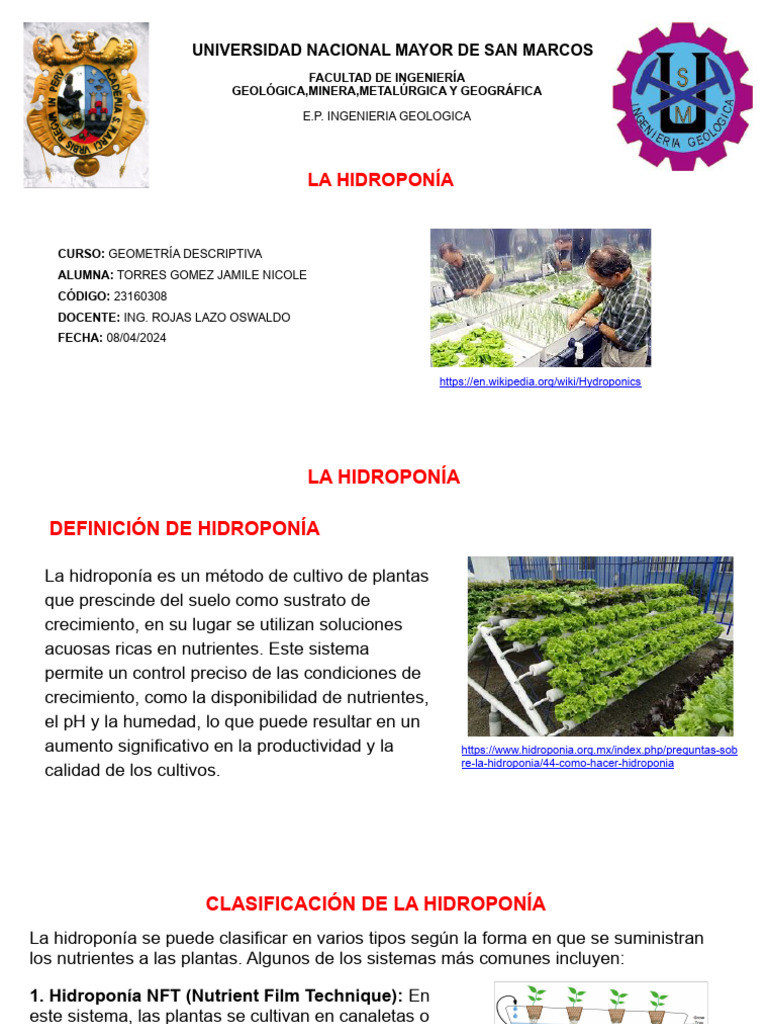 Hidroponía: Sistemas y Ventajas | PDF | Hidroponia | Agricultura